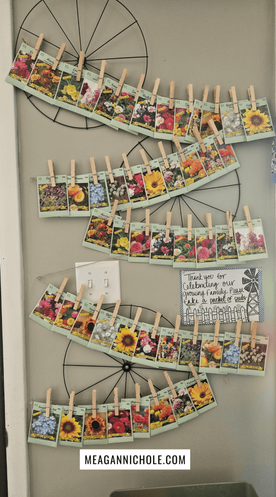 13 Cheap and Easy Farm Themed Birthday Party Ideas